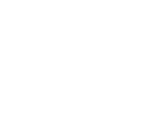 Berkshire Roots | Organic Cannabis East Boston & Pittsfield