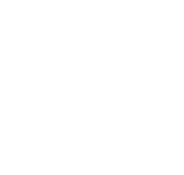 Berkshire Roots | Organic Cannabis East Boston & Pittsfield