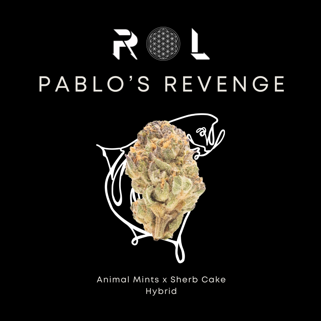 Pablo's Revenge Hybrid Flower in MA - Rhythm of Life Cannabis