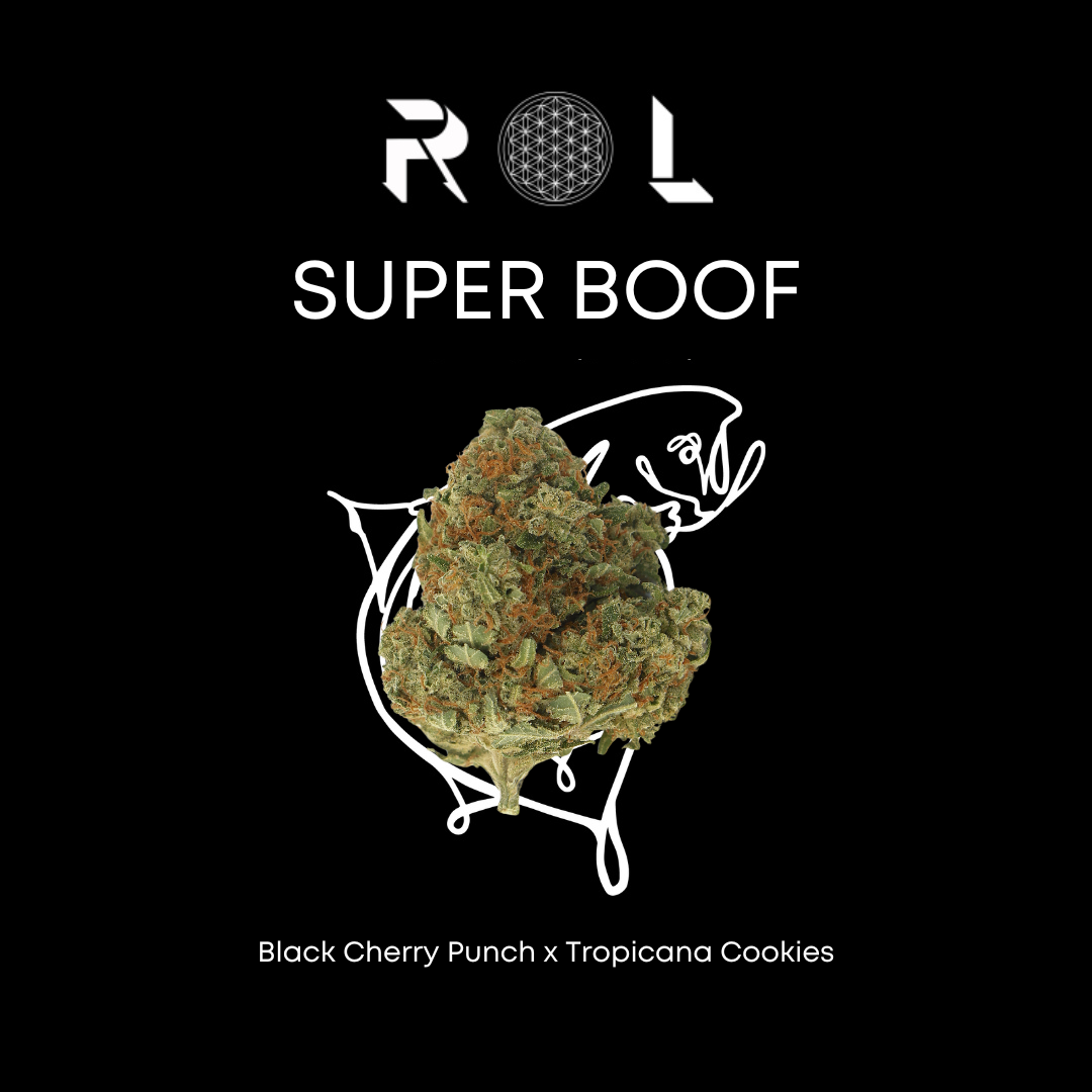Super Boof Hybrid Organic Cannabis Strain in Massachusetts