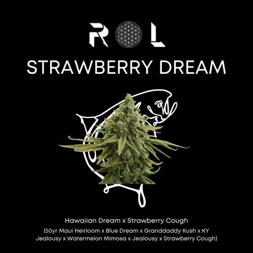Strawberry Dream | Hybrid All-Natural High-Quality Marijuana
