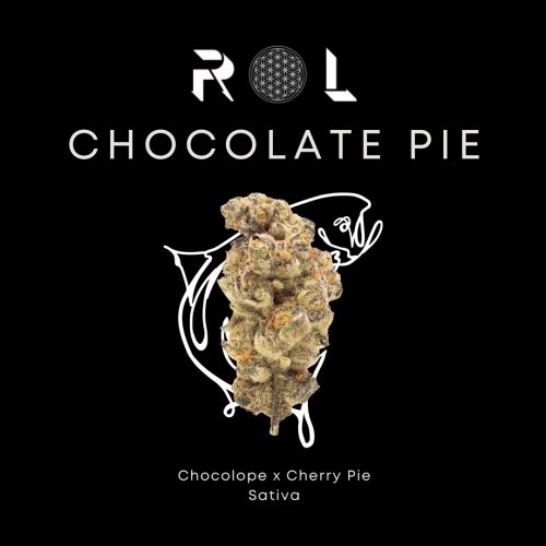 Chocolate Pie Sativa Flower in MA - Rhythm of Life Cannabis