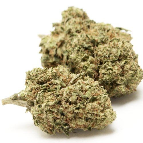 Disco Fox - Rhythm of Life Cannabis